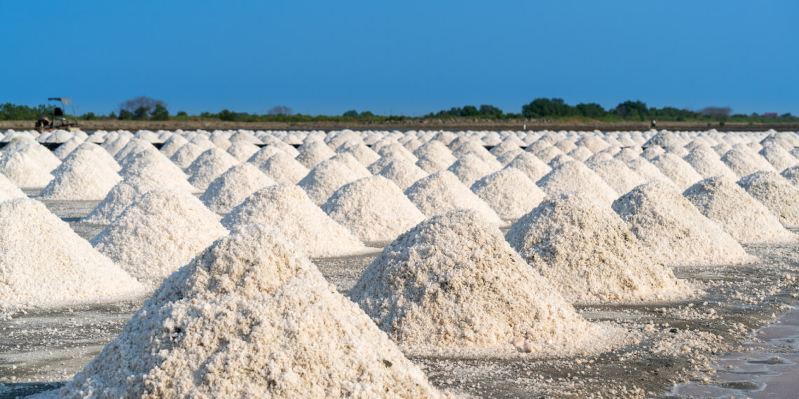 Expanding Horizons: Royal Salt’s Strategic Impact Through Salt Works in ...